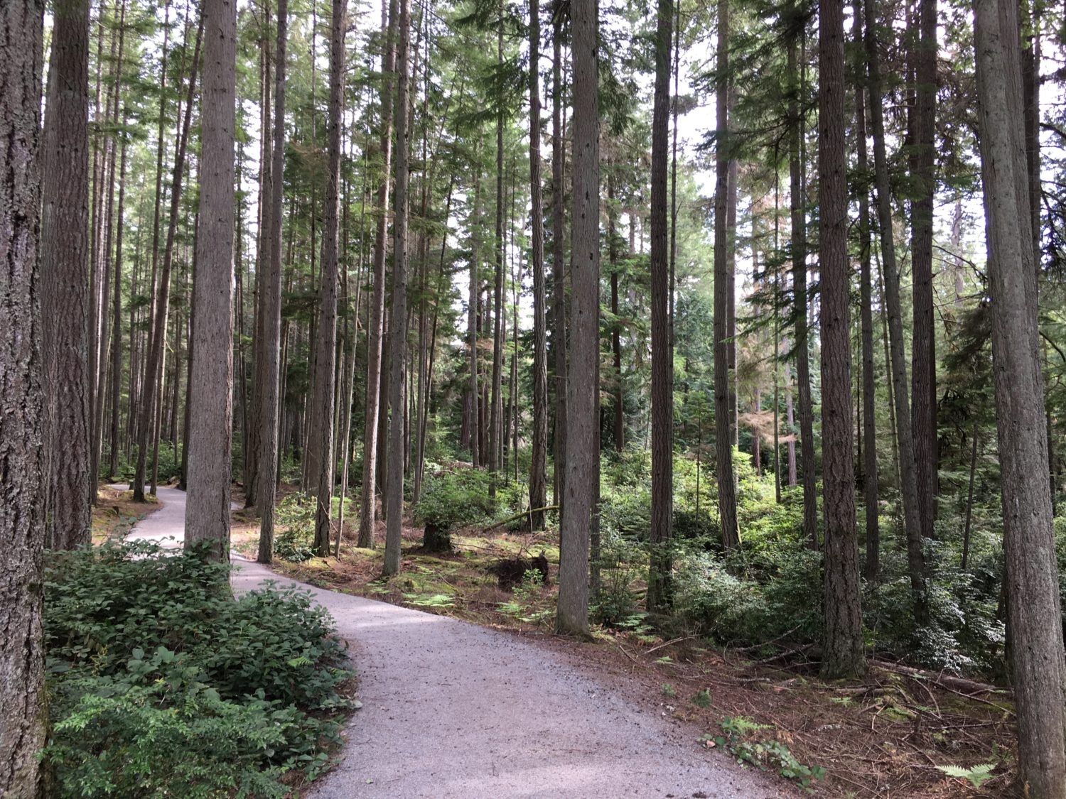 Parks & Amenities - South Whidbey Parks and Recreation Department