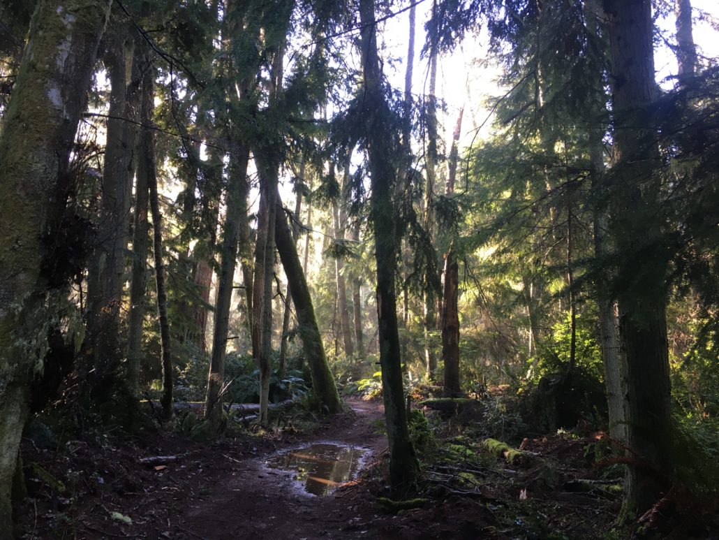 IMG_9901 – South Whidbey Parks and Recreation Department